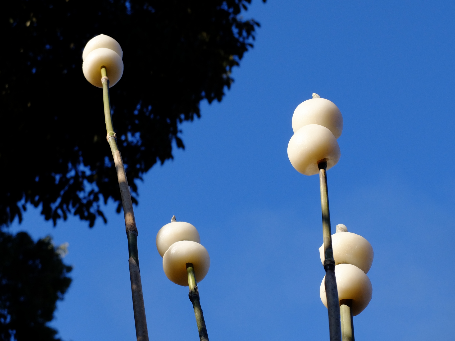 1月14日〜366日の誕生石〜 | differencee（ディファレンシー）公式