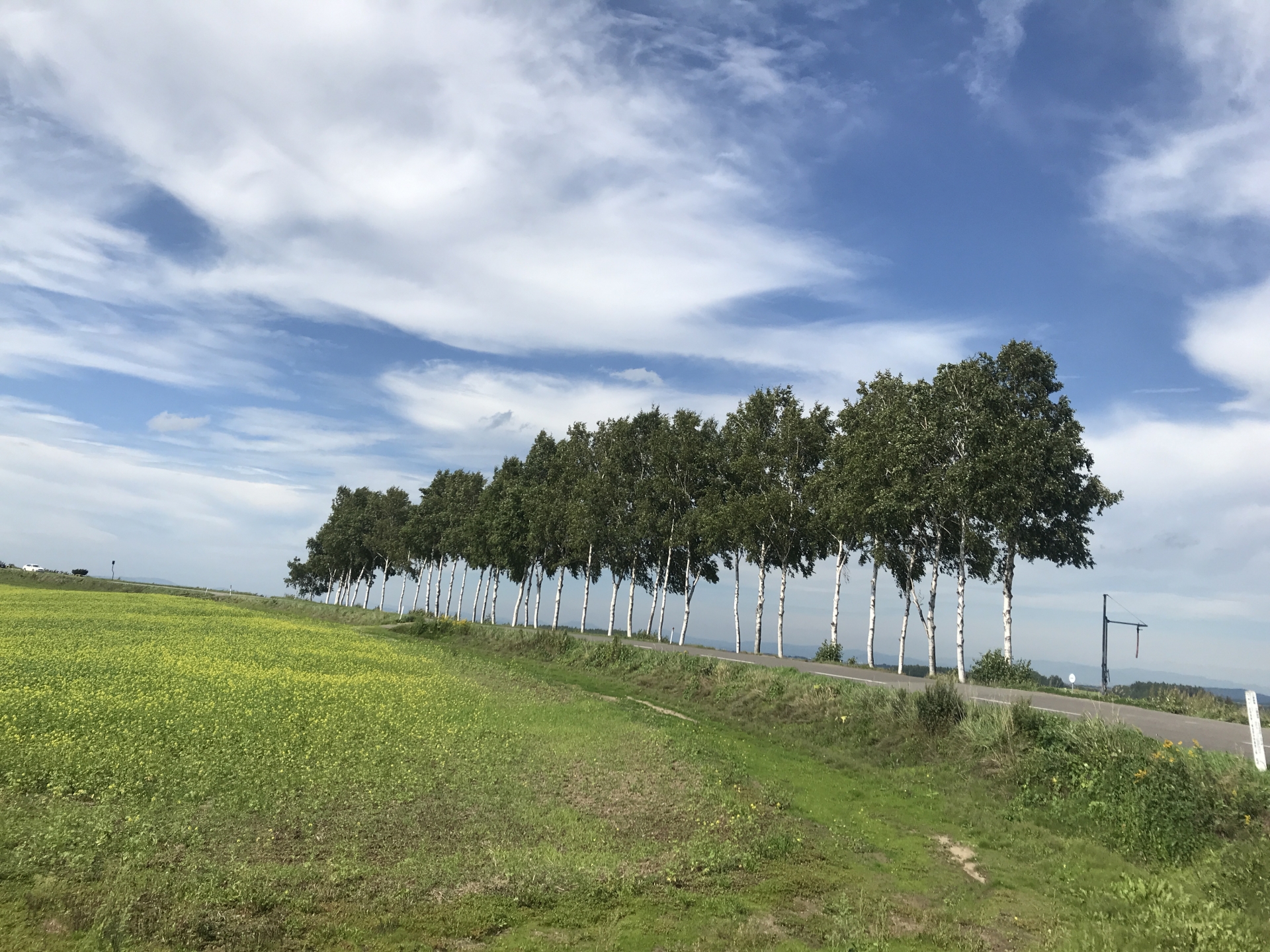 1月13日〜366日の誕生石〜 | differencee（ディファレンシー）公式