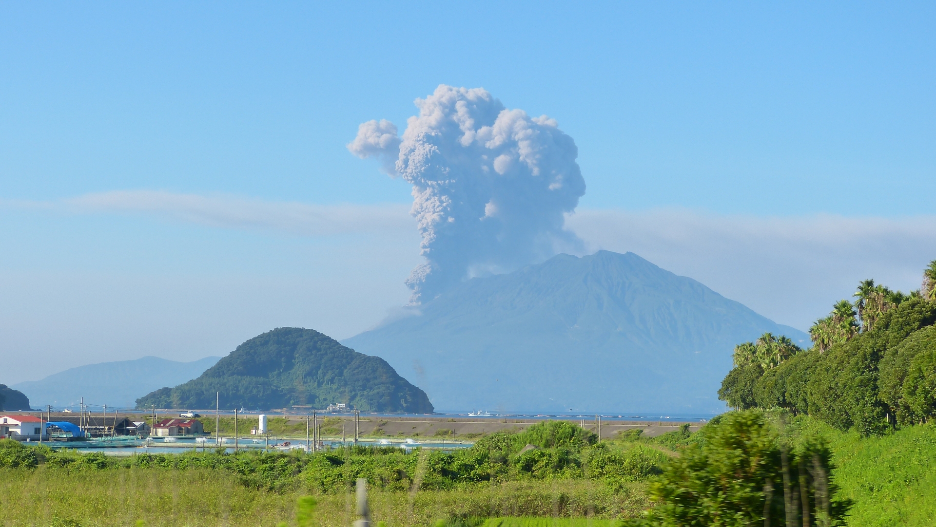 1月12日〜366日の誕生石〜 | differencee（ディファレンシー）公式