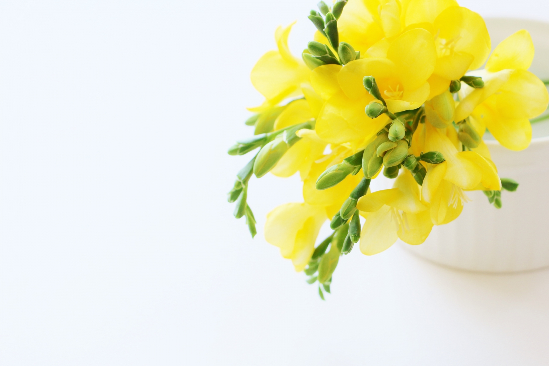 1月10日〜366日の誕生石〜 | differencee（ディファレンシー）公式