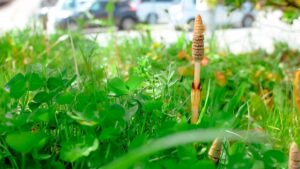 2月4日〜366日の誕生石〜 | differencee（ディファレンシー）公式