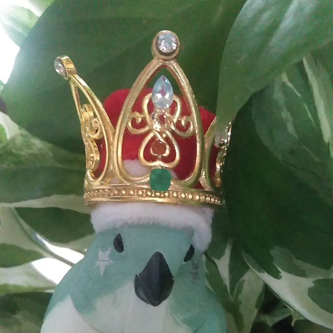 王様も思わず自慢げ！👑 | differencee（ディファレンシー）公式