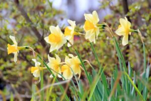 2月9日〜366日の誕生石〜 | differencee（ディファレンシー）公式