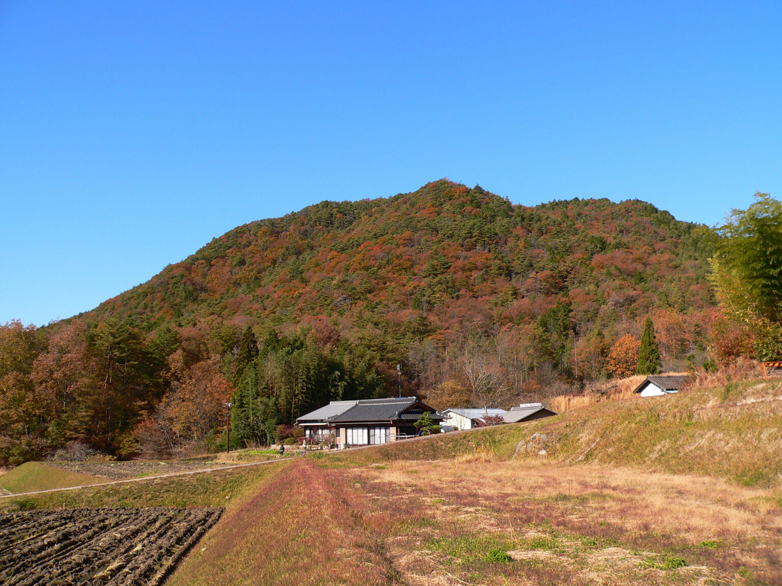 いしばし先生に聞く「日本の宝石鉱物」vol.03 | differencee（ディファレンシー）公式