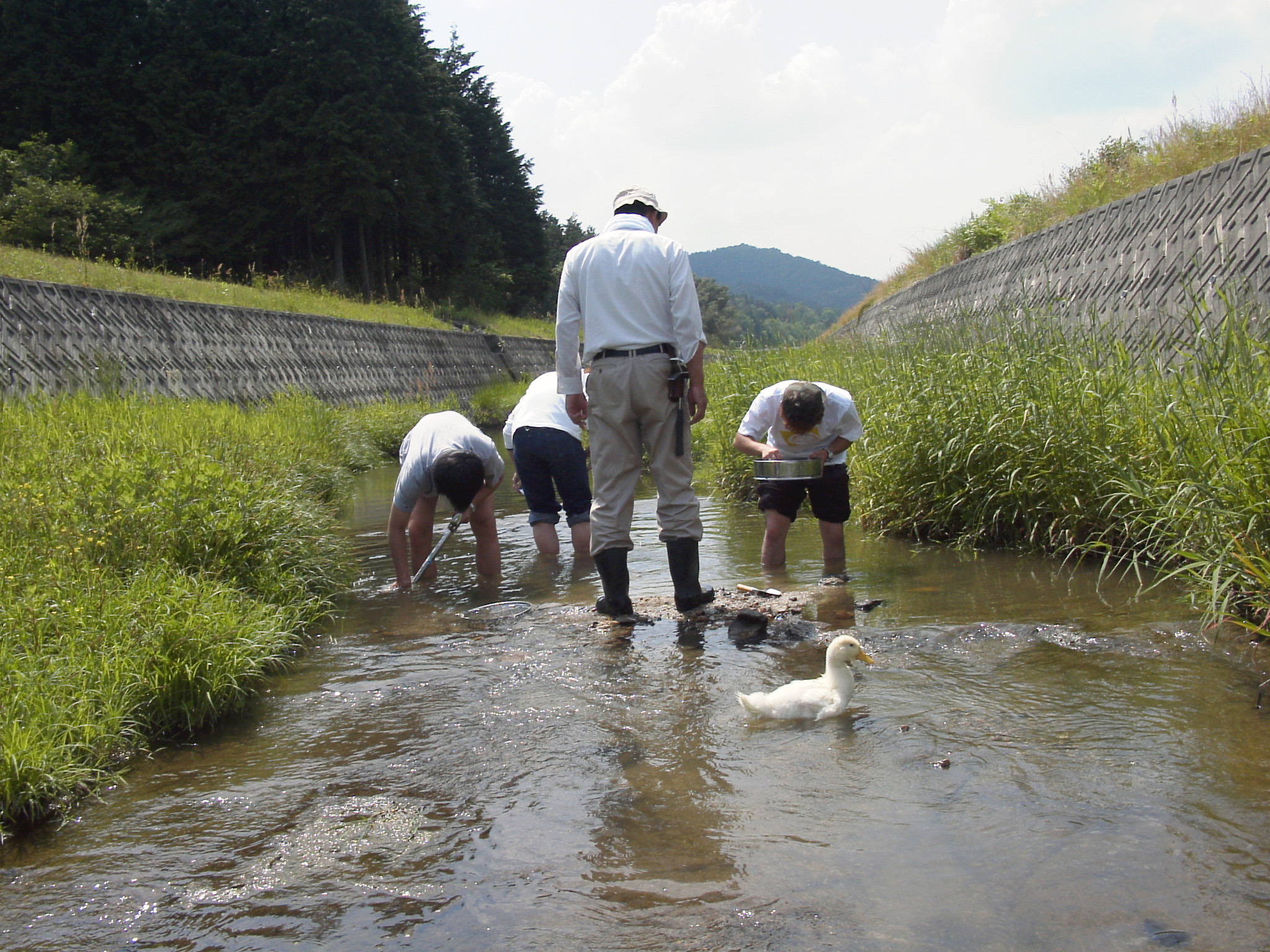 いしばし先生に聞く「日本の宝石鉱物」vol.03 | differencee（ディファレンシー）公式