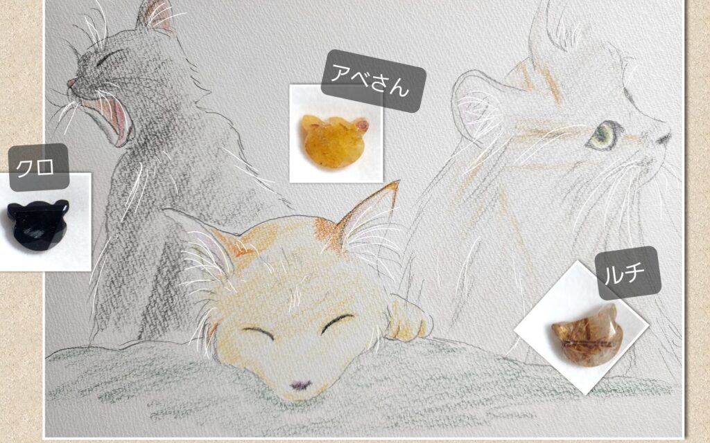 猫好き集合🐾ルースで擬猫化🐾 | differencee（ディファレンシー）公式