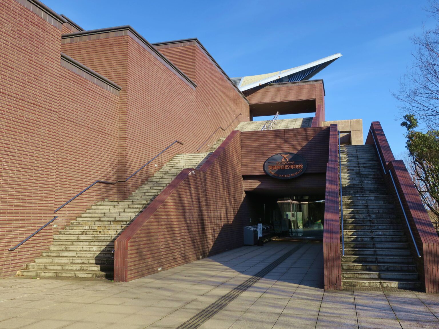 宝石・鉱物のあるミュージアム【茨城/ミュージアムパーク茨城県自然博物館】 | differencee（ディファレンシー）公式