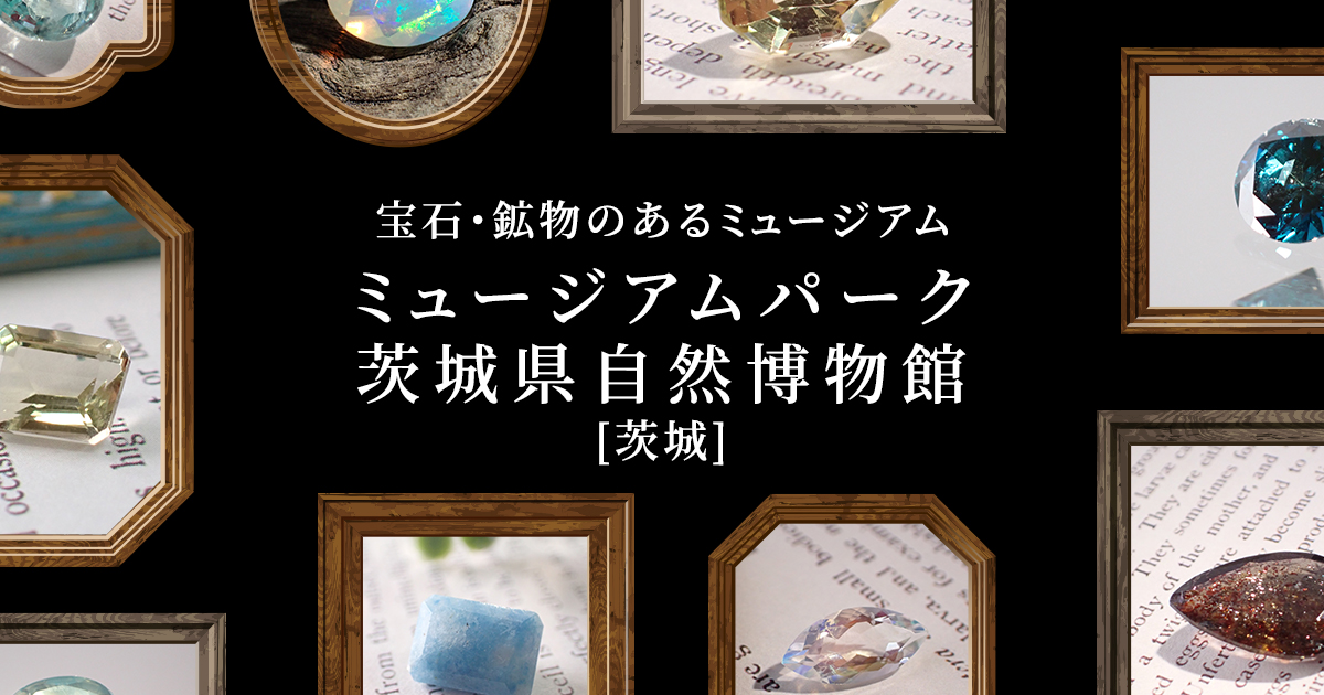 differencee（ディファレンシー）公式 | 違いを楽しむ宝石屋｜廃棄宝石定期便