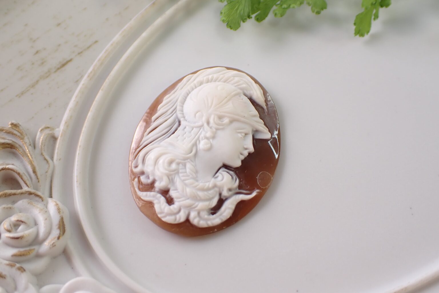 身に着ける芸術作品【カメオ】 | differencee（ディファレンシー）公式